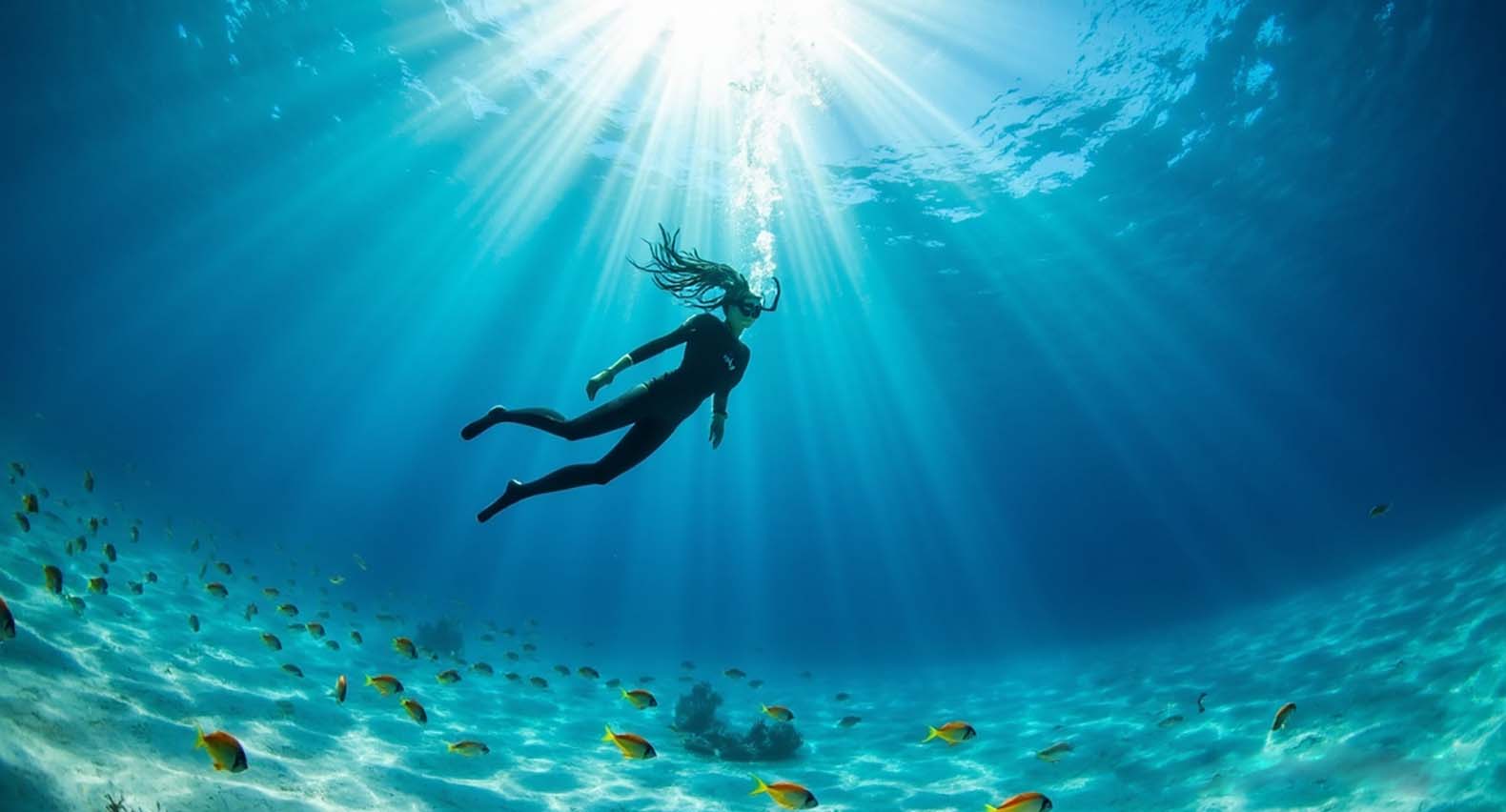 Home - philippines-freediving.com